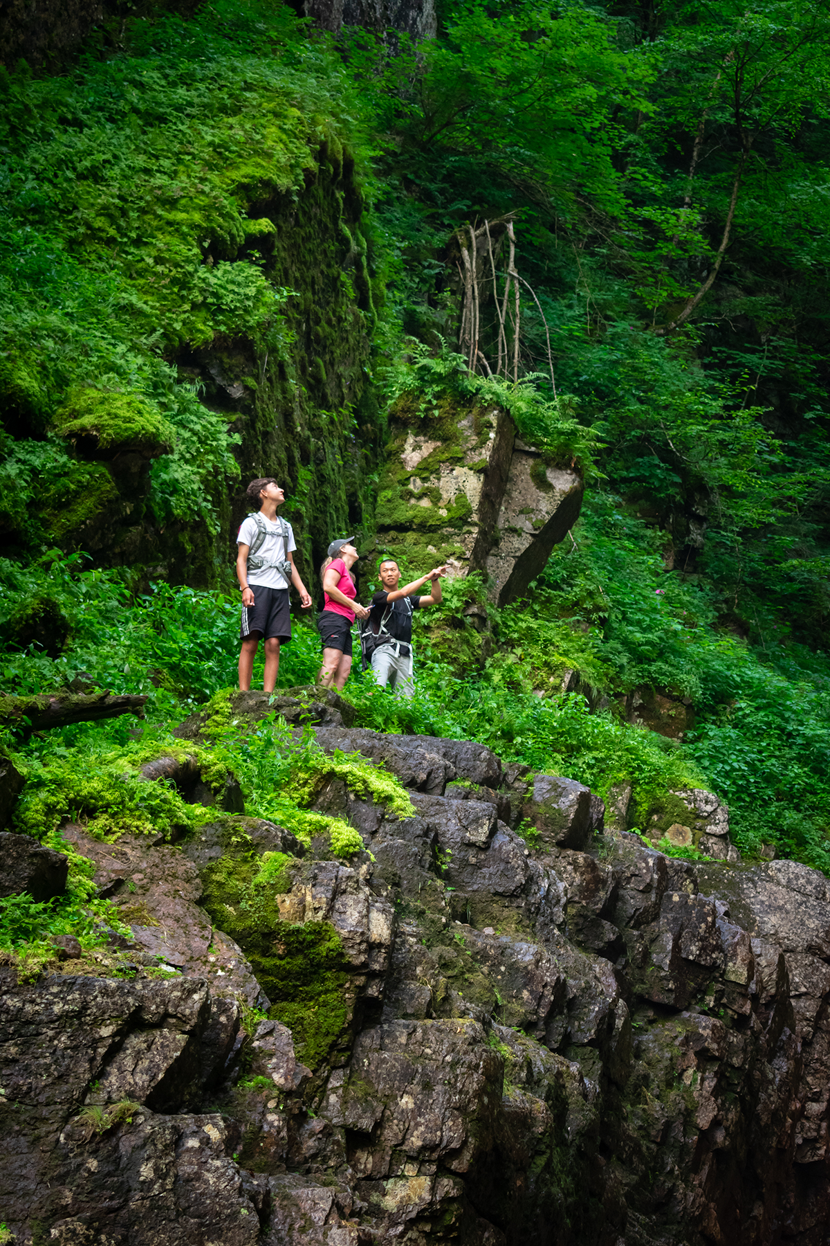 First Real Hike… – Northern Latitudes
